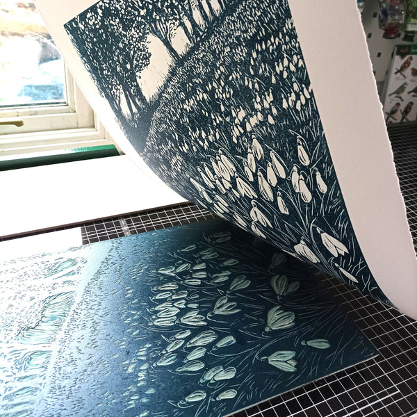 Snowdrop Wood - Linocut Print | Greeting Cards and Stationery