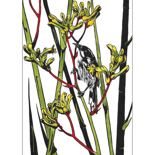 New Holland In Kangaroo Paw (Australia) | Greeting Cards and Stationery